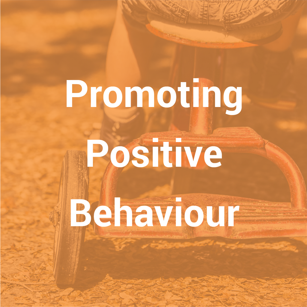 Promoting Positive Behaviour – MHA Professional Services Limited